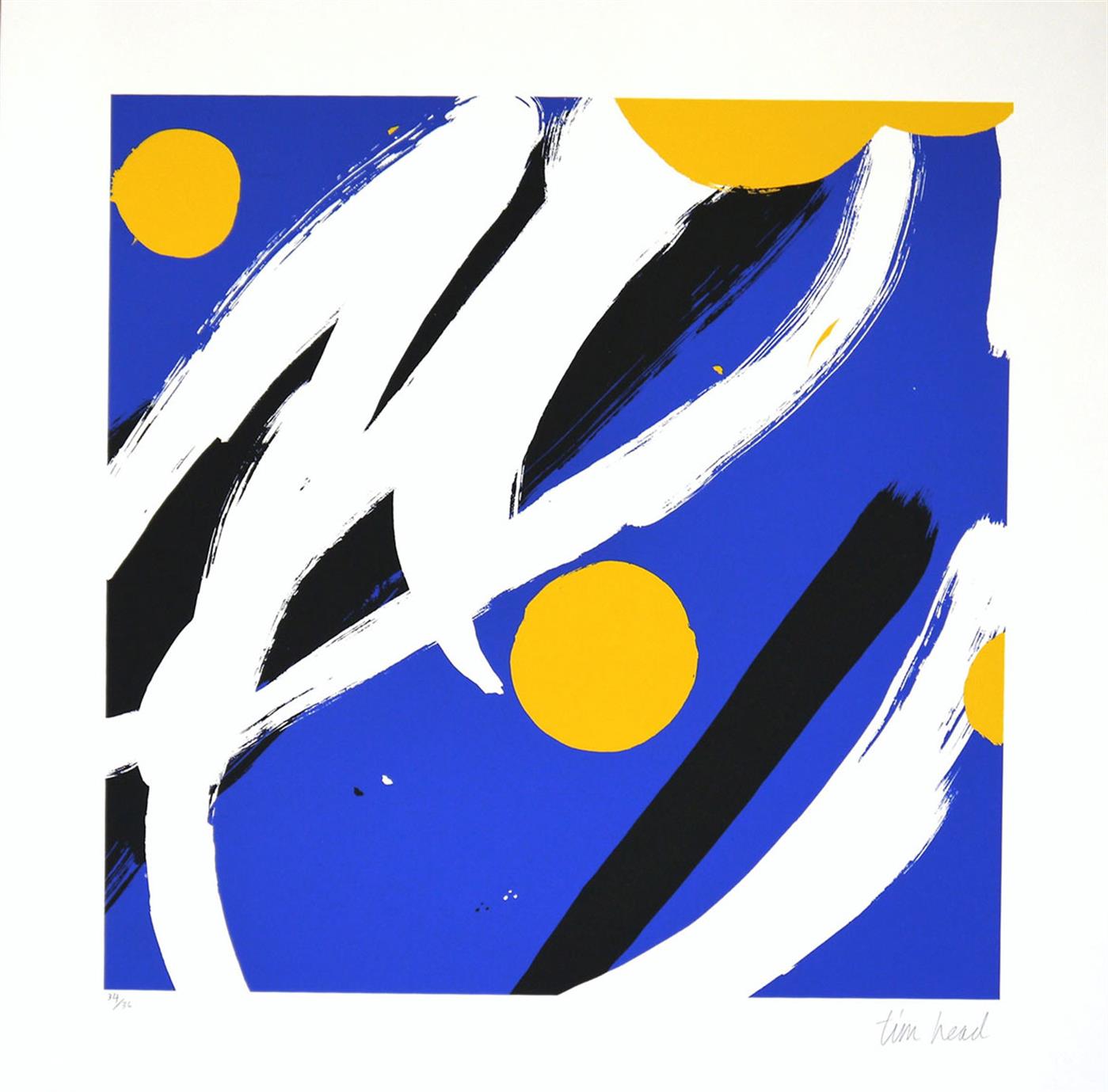 Tim Head – Jealous Gallery